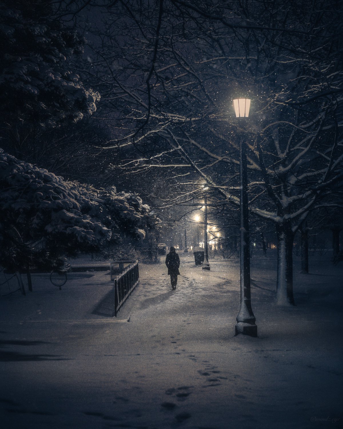 Dark Winter Night