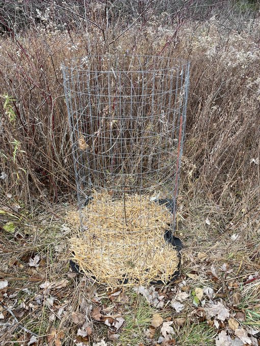 TW Pornstars - Juno Calliope. Pictures and videos from Twitter. Page 5