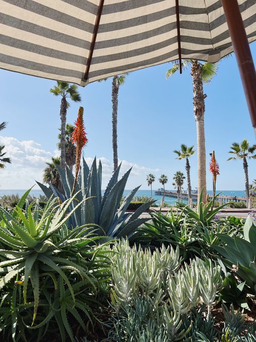 TW Pornstars - Vivienne Cole. Pictures and videos from Twitter.