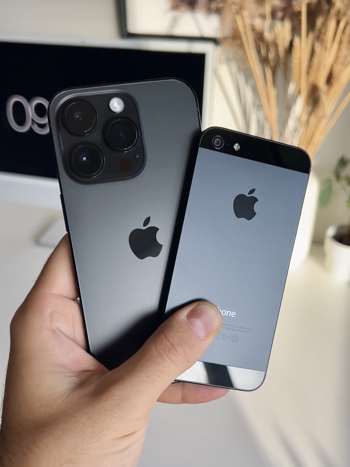 Iphone 5s Black And Slate