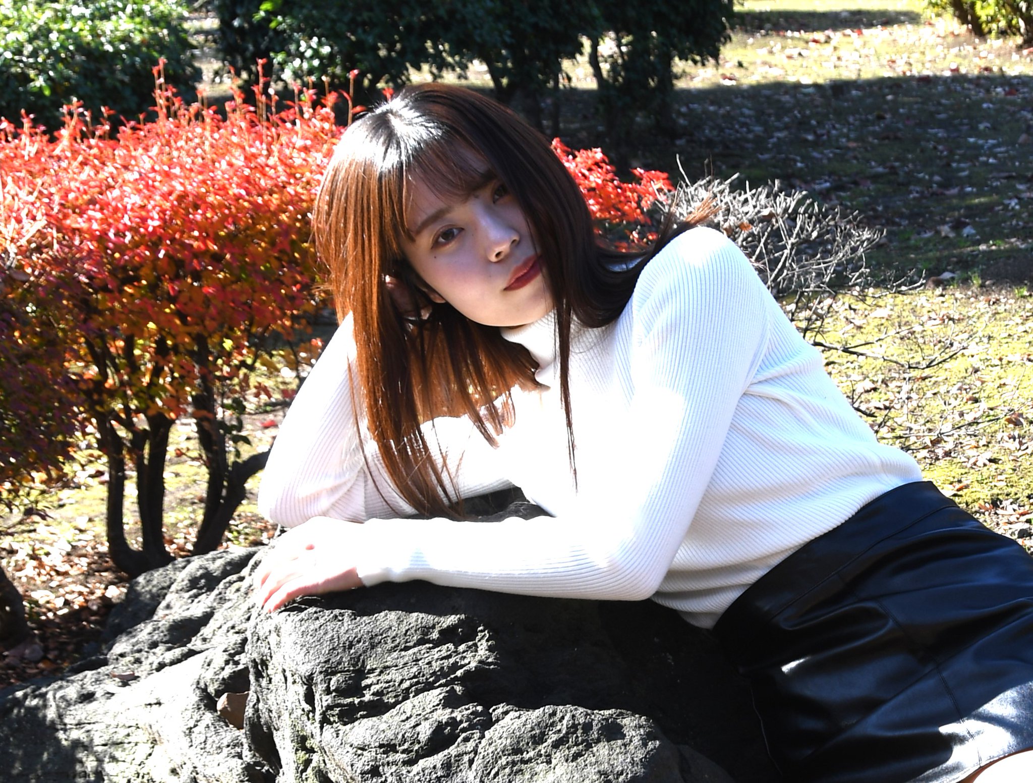 Dora Neko, Male Cat Meow どらネコ on Twitter: "https://t.co/tUcifnTwox" / Twitter