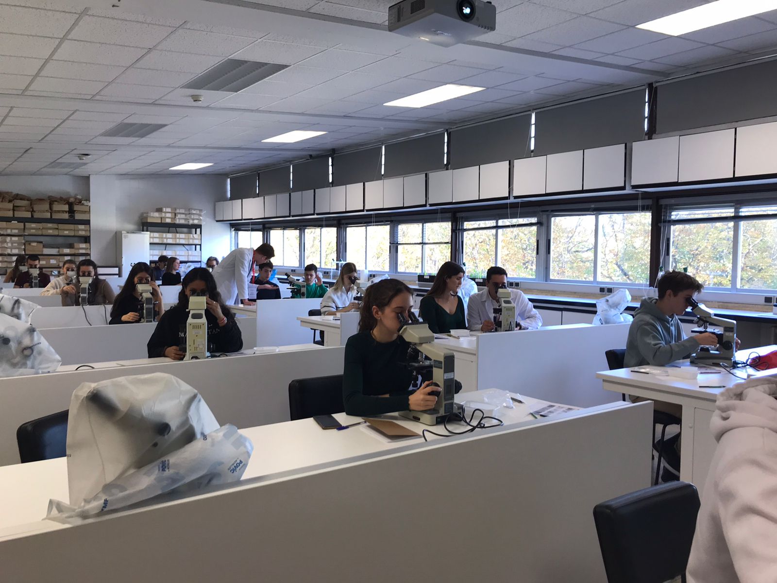 Facultad de Ciencias on Twitter: Facultad de Ciencias on Twitter: