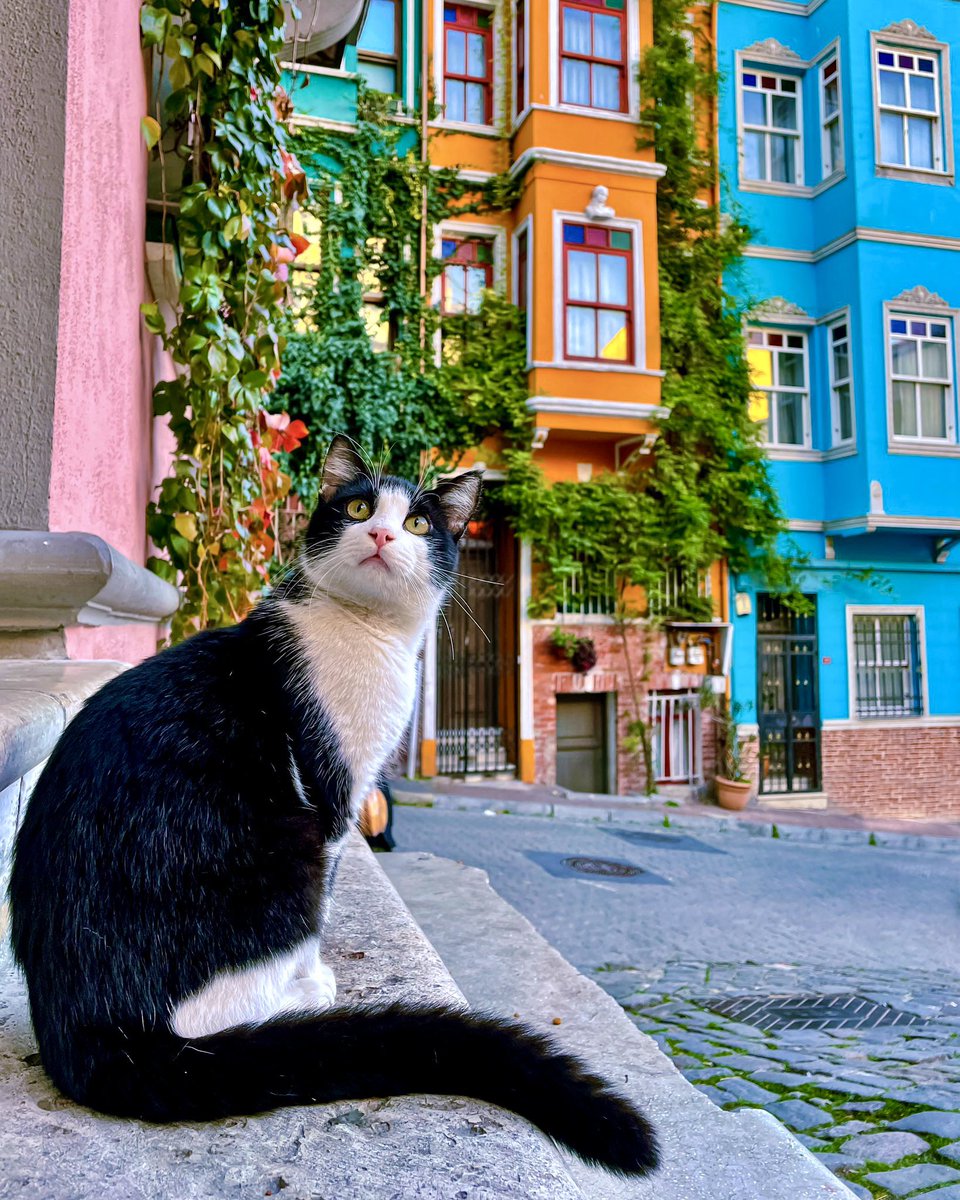 Because a colourful world is more beautiful… From the bright buildings ...