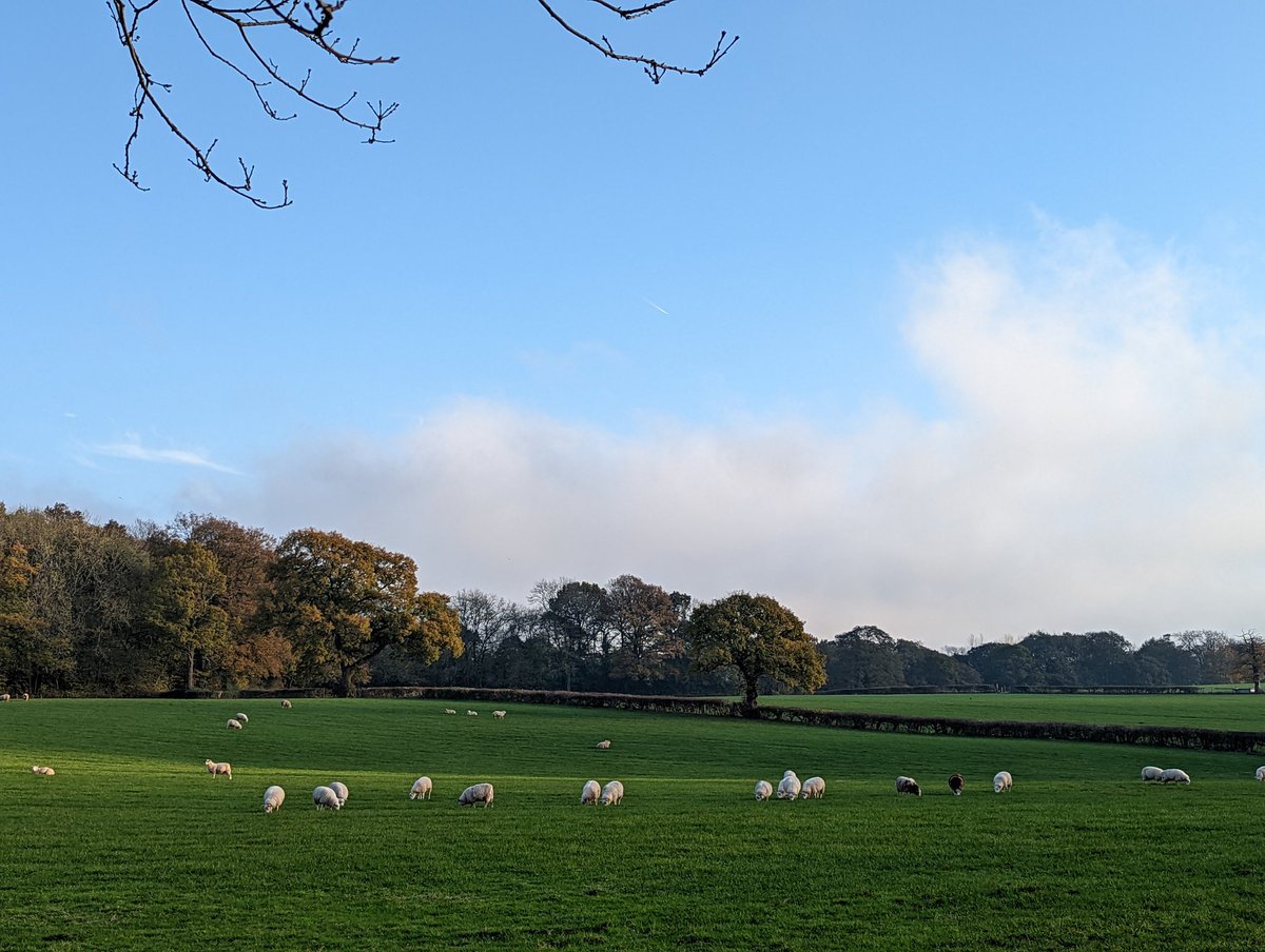 Thread by @zugzwanged on Thread Reader App – Thread Reader App