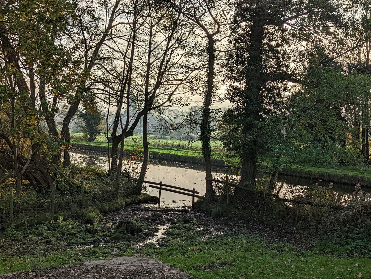 Thread by @zugzwanged on Thread Reader App – Thread Reader App