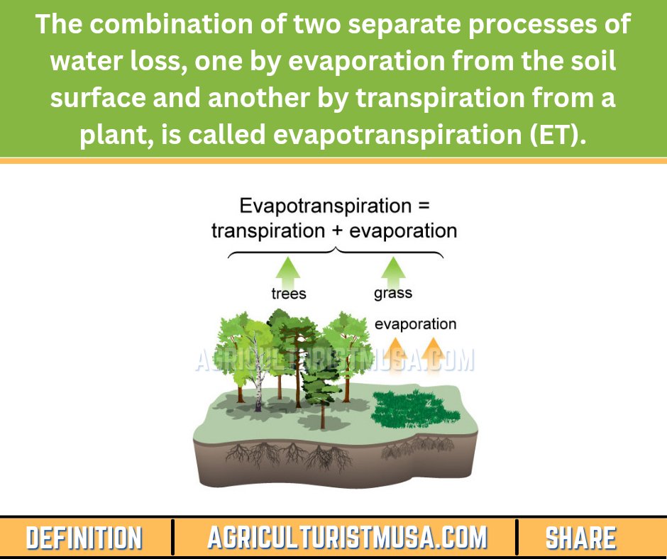 Evapotranspiration Process