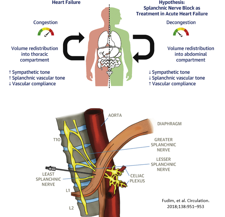 Splanic Nerve
