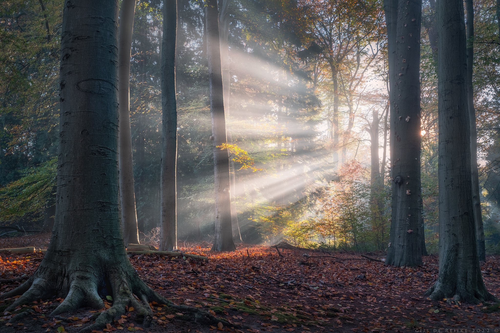 Gijs de Reijke on Twitter: "Saturday morning's shot of sunrays and bright Autumn colours. One of ...