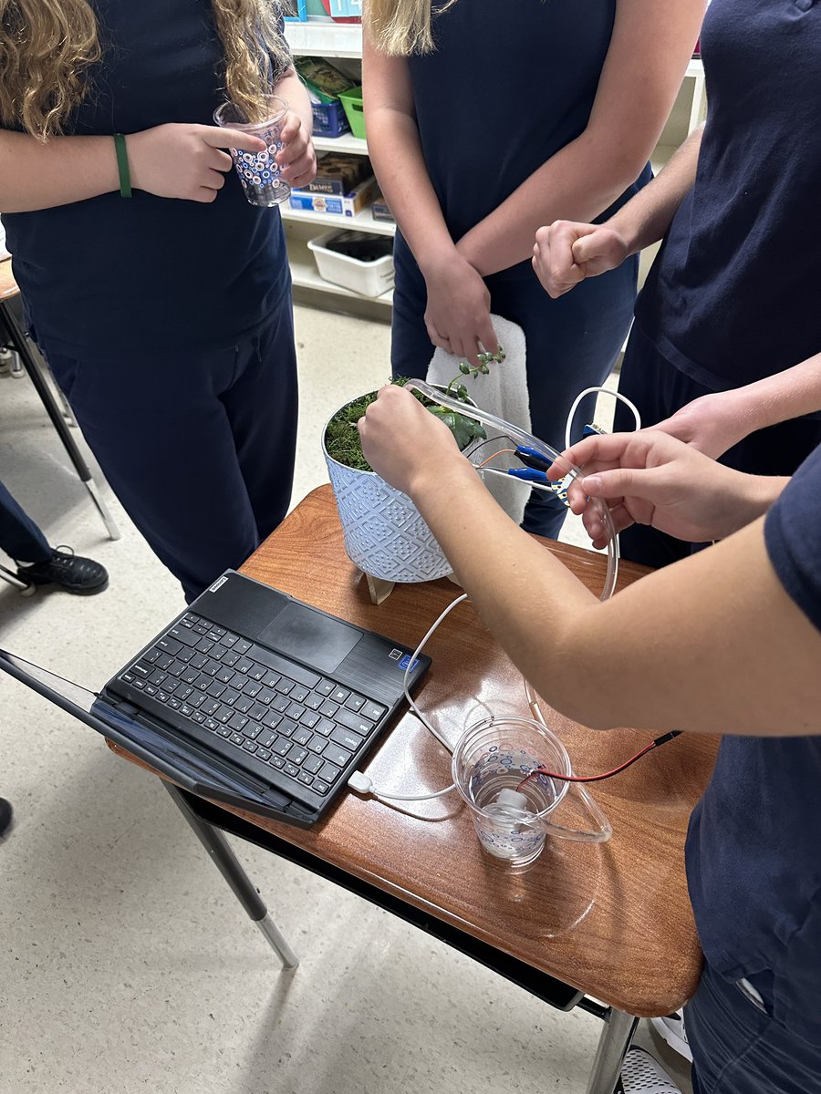 Micro:bit Educational Foundation on Twitter: "💦🌱Setting up irrigation systems are really popular ...