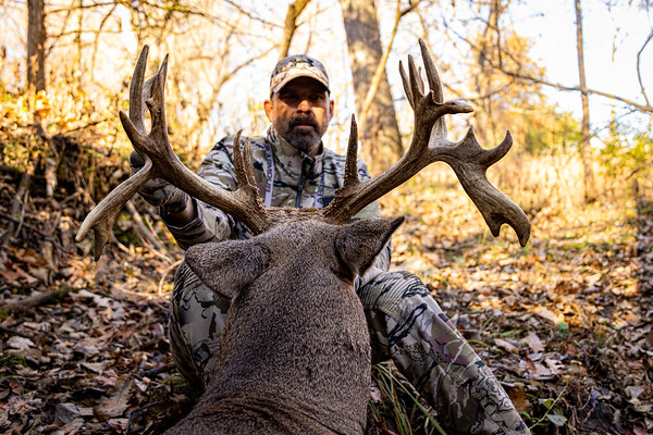 14 Point Whitetail Buck