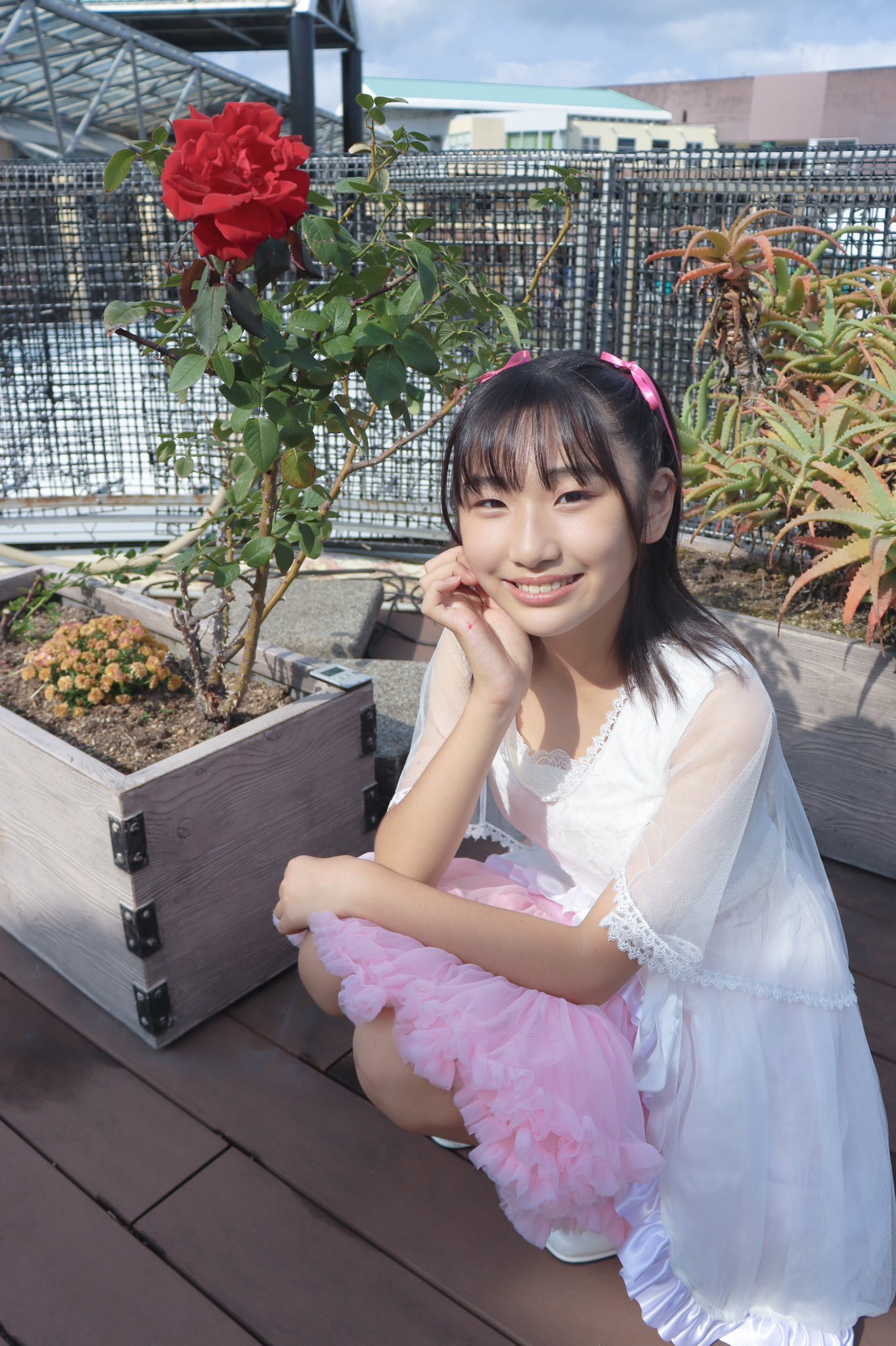 みーくん ⭐️ on Twitter: "なつみちゃん (js6) マーブルエンジェル ピンク色担当💖 @Natsumi723kan きれいなバラ🌹が咲いてた😊 バラを愛でる心の優しいなつみ ...