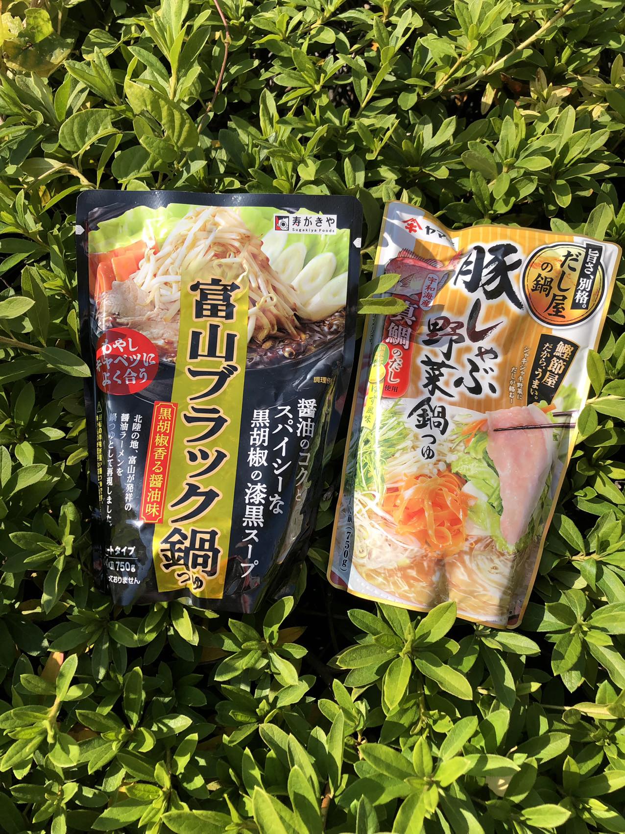 TOAmart草津店 (@TOAmartkusatu) / Twitter