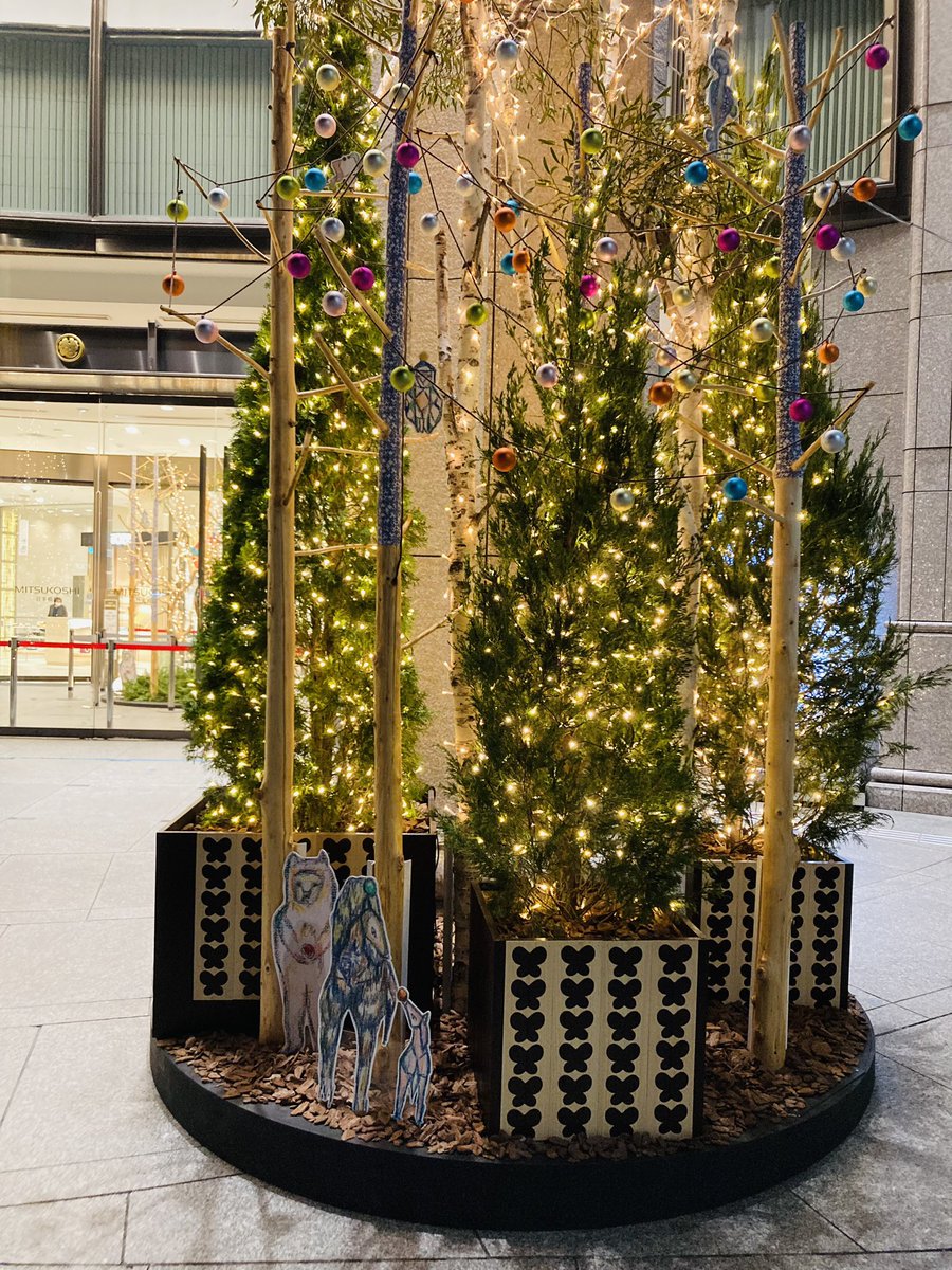 日本橋三越スタッフのつぶやき On Twitter 新館入口のクリスマスツリー🎄 ライトアップされた姿もキレイですね🤗 日本橋三越