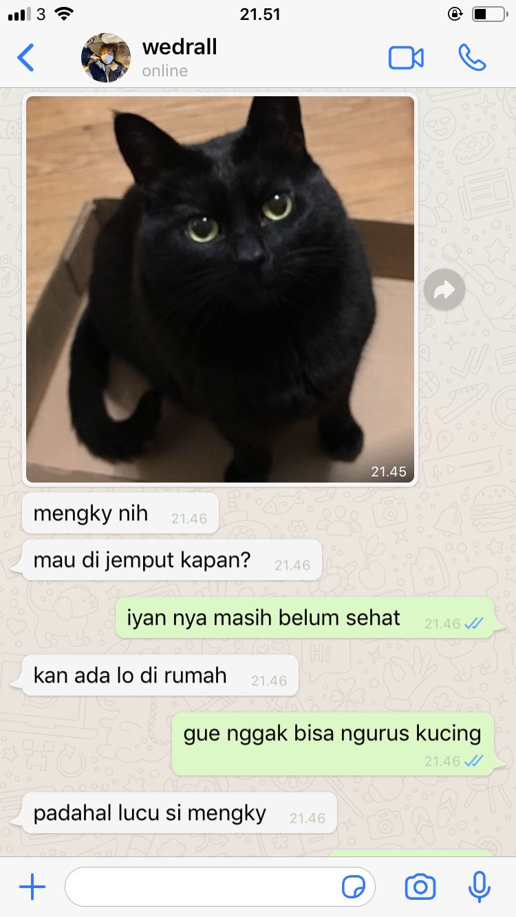 molen on Twitter: "296. https://t.co/b7mT17e8x4" / Twitter