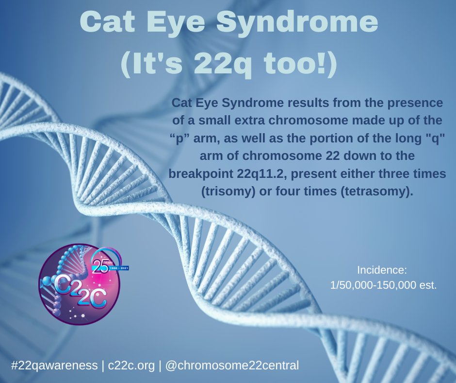 Cat Eye Syndrome Statistics