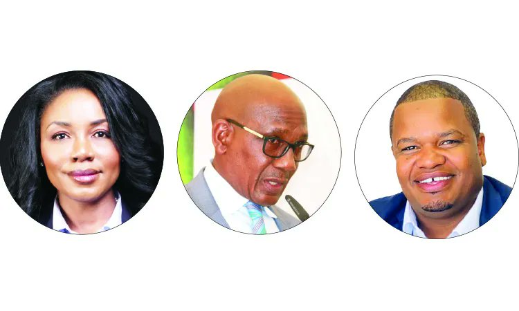 The Namibian on Twitter: "A boardroom fight between Namibia Institute of Public Administration ...