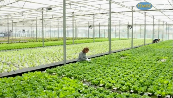 Samir Chaymae - Femise