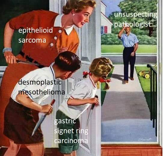 Phillip Templo Jr. on Twitter: "🤓 👀 (c): Pathology Memes https://t.co/dPHDbZpUh1" / Twitter