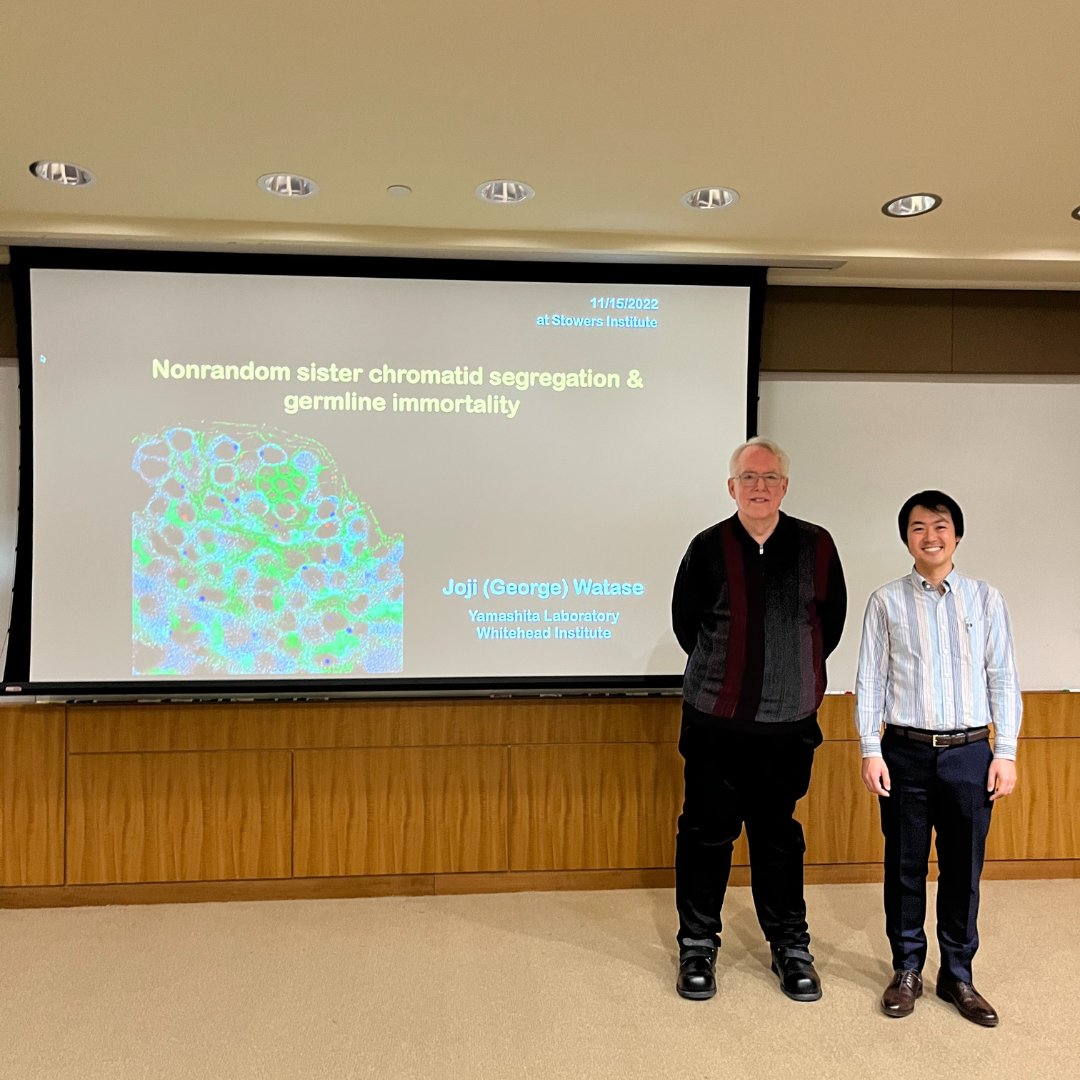 Stowers Institute on Twitter: "Thank you to @GeorgeWatase, #postdoc with @yamashitaflylab at ...