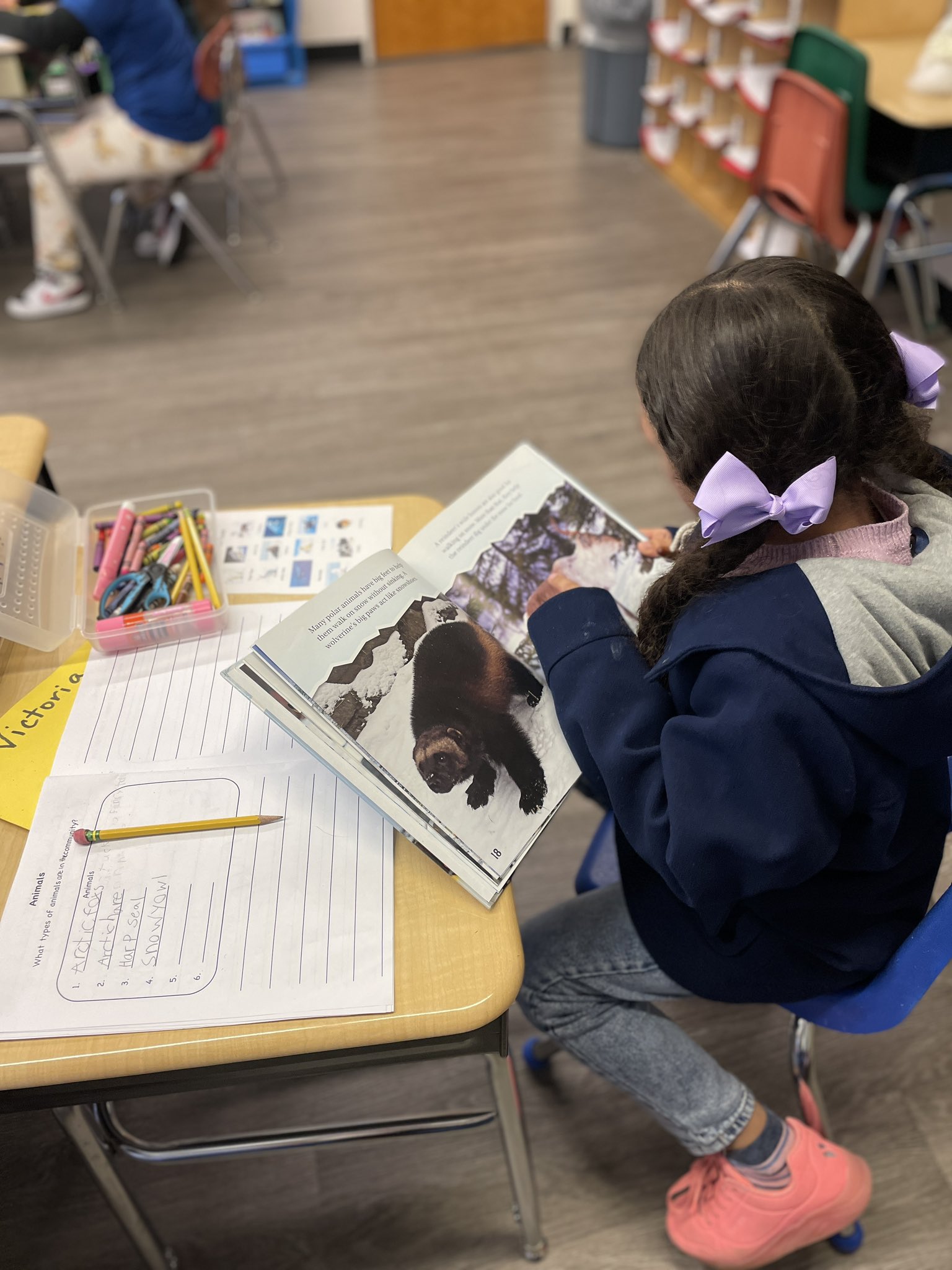 GCSD_STREAM (@GCSD_Stream) / Twitter