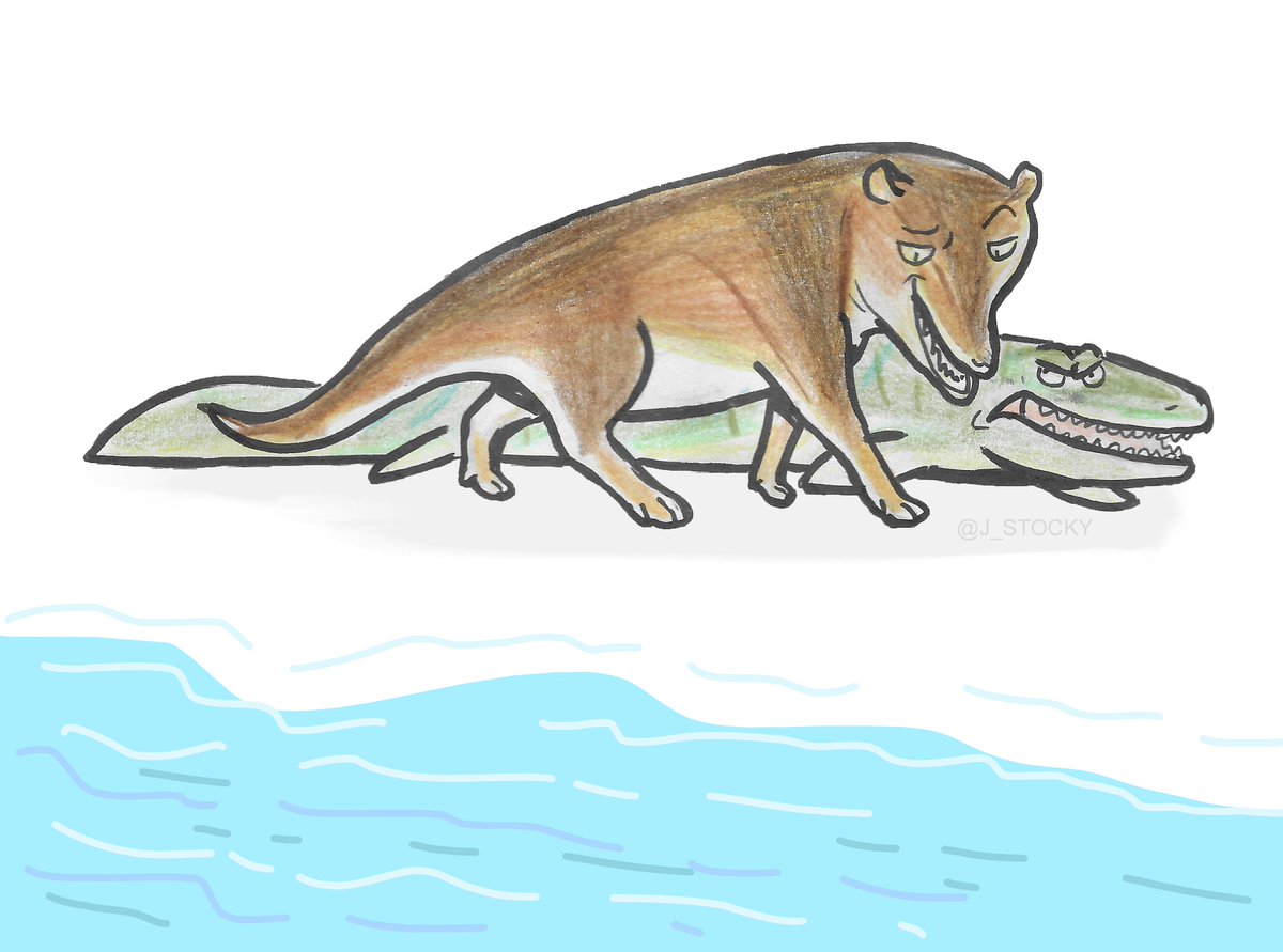 pakicetusのTwitterイラスト検索結果。