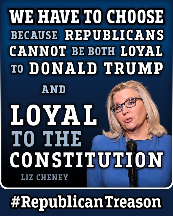 Rachel Bitecofer 📈🔭🇺🇲🇺🇦 on Twitter: "And the Republican Treason toolkit! Y'all should follow ...