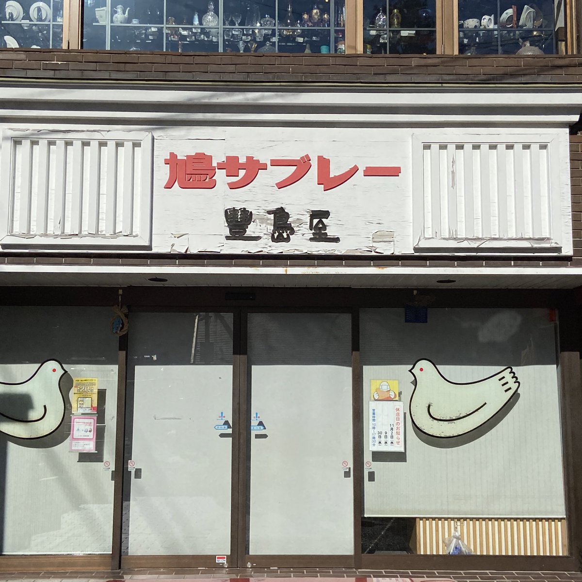 Mk_Hayashi on Twitter: "RT @nosonoso: 鳩…おまえ正面顔こんなんだったんか・"