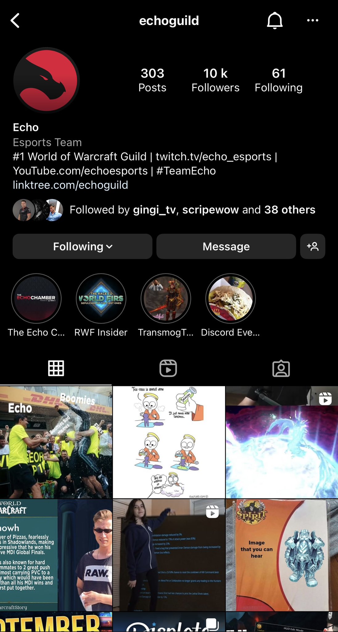 Echo on Twitter: "Thank you so much to everybody for helping us reach 10k followers over on ...