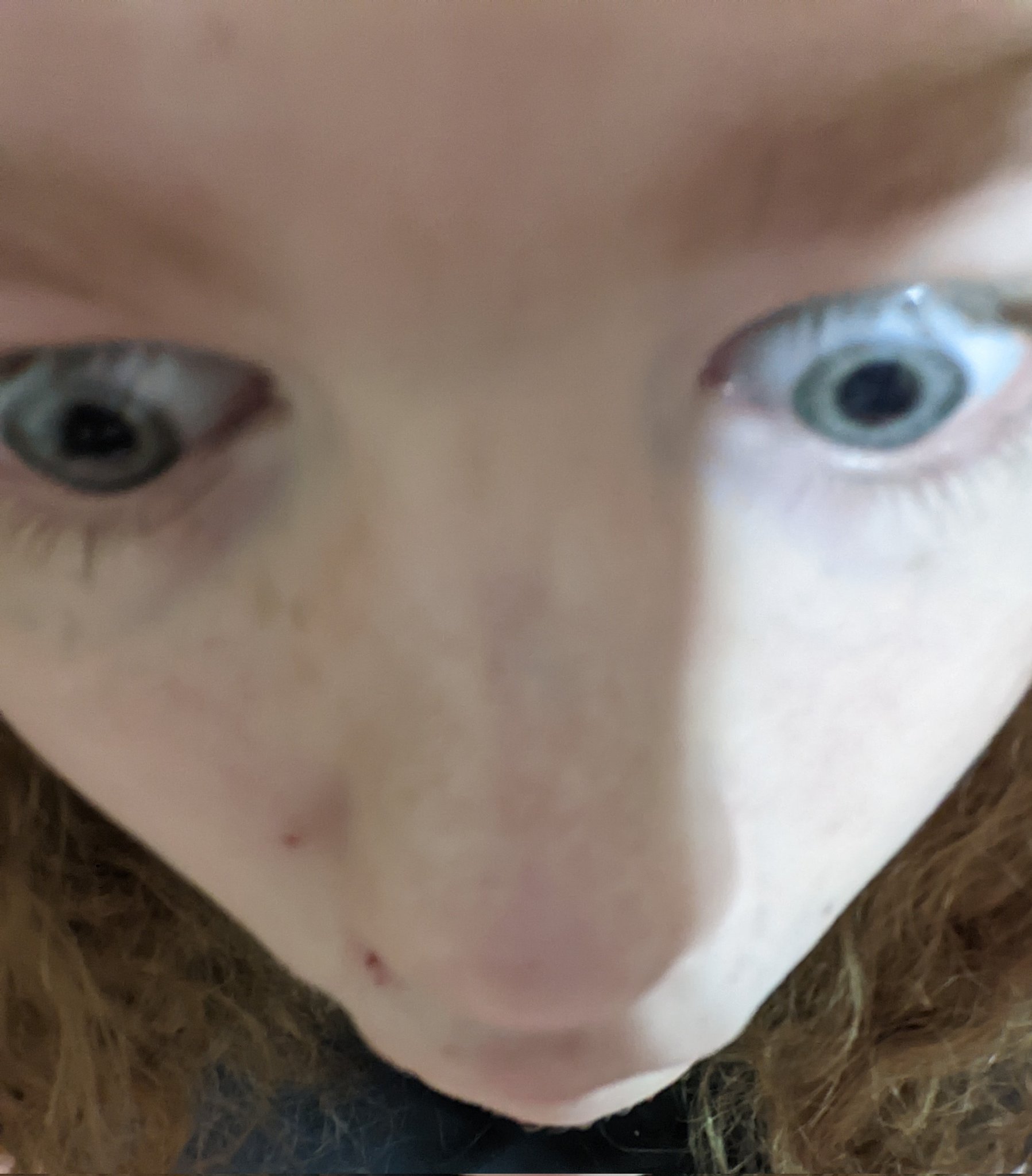 Terdle 🏳️⚧️ On Twitter Hey Guys Im Terdle Xhcefjn4ju