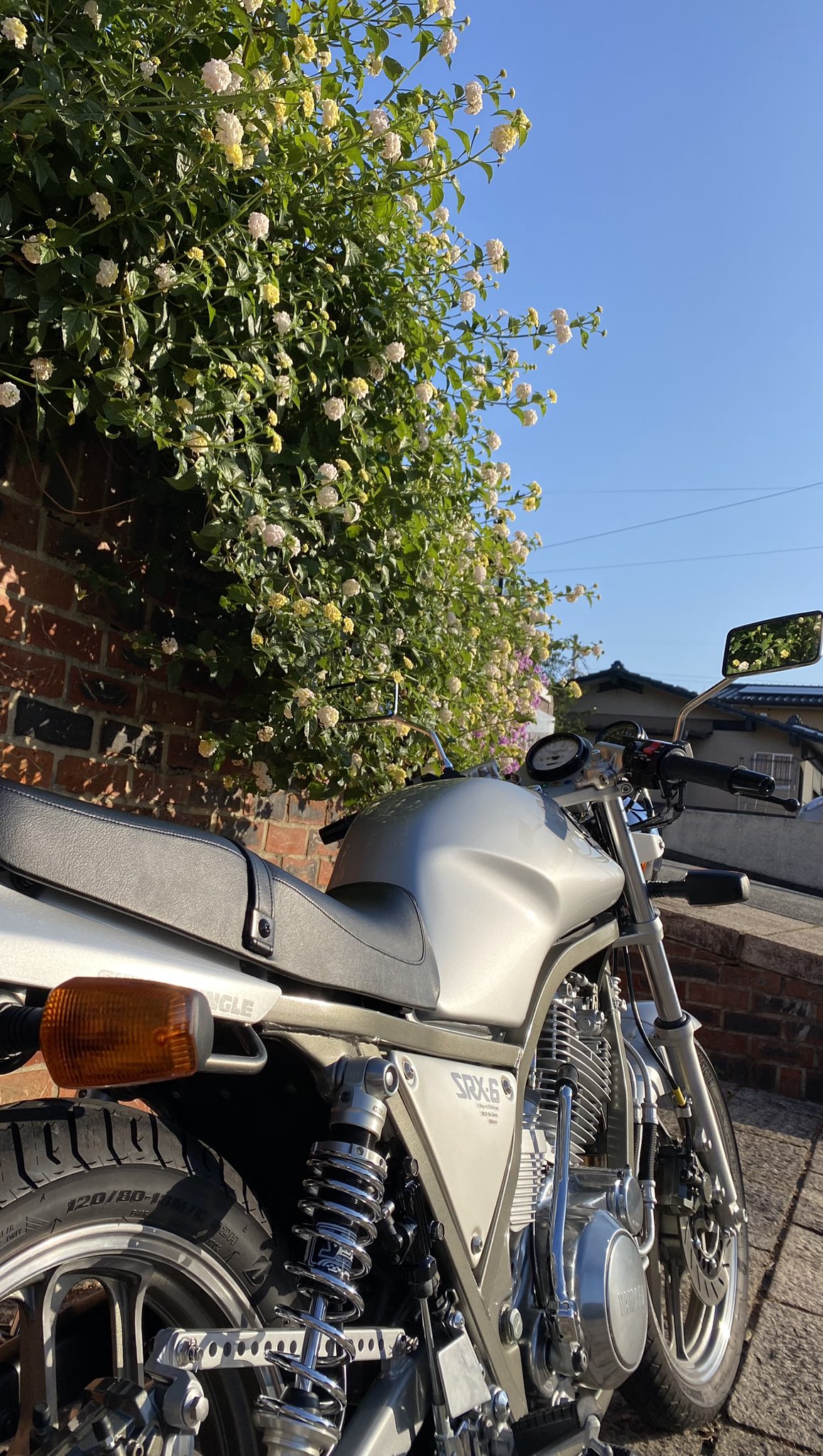 SR400・SRX-6 熊本 on Twitter: "今日は風もなく快晴です。土日雨予報なのが残念！ https://t.co/H7CqLnG4dJ" / Twitter