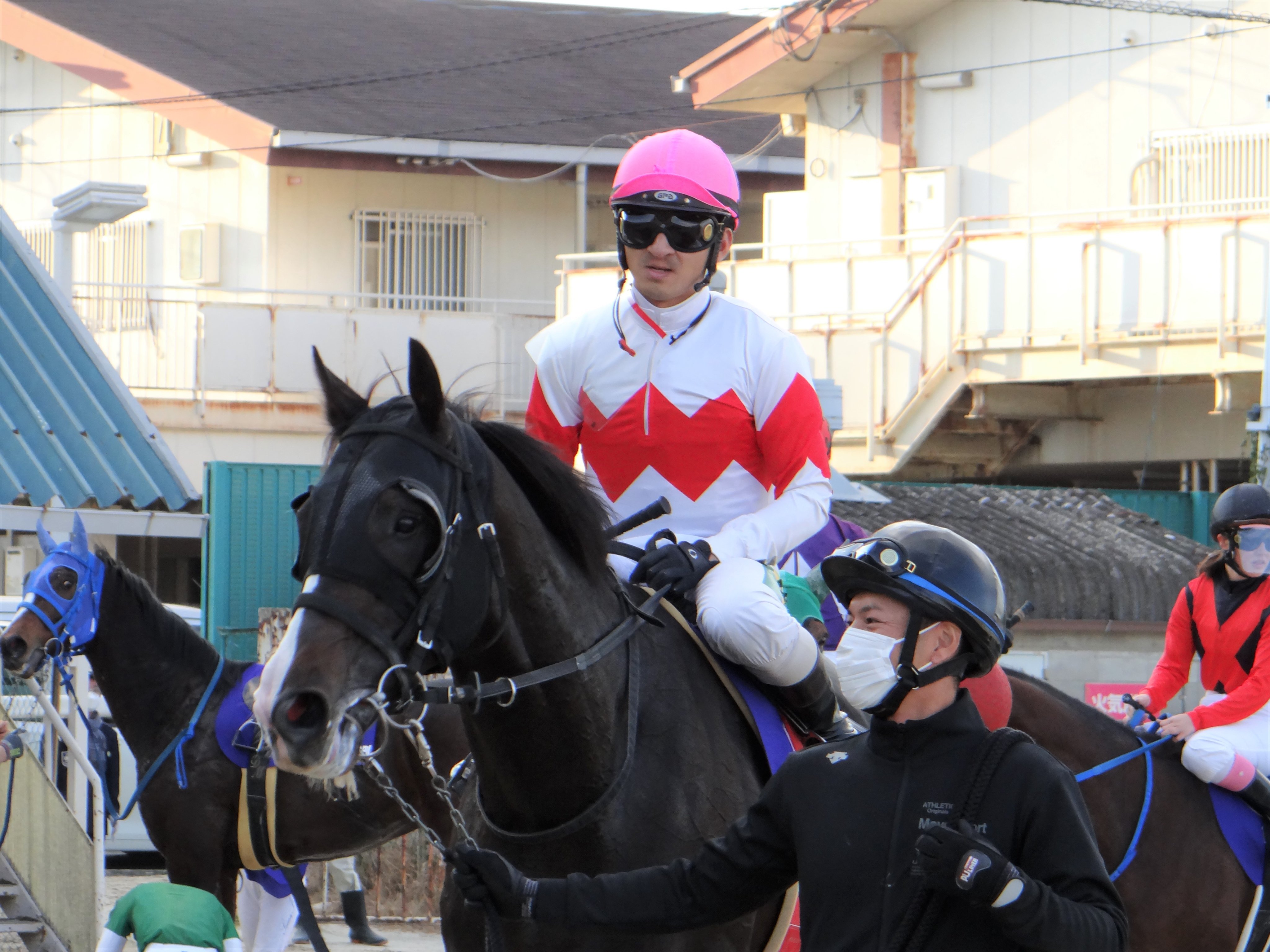 そのだメール☆ひめじメール on Twitter: "11R「JRA交流 大和川特別」はJRA所属のマリオロード号（牡3・安達昭夫 きゅう舎・吉村智洋騎手騎乗）が格の違いを見せ圧勝 🏇💨💨🏇💦 ...