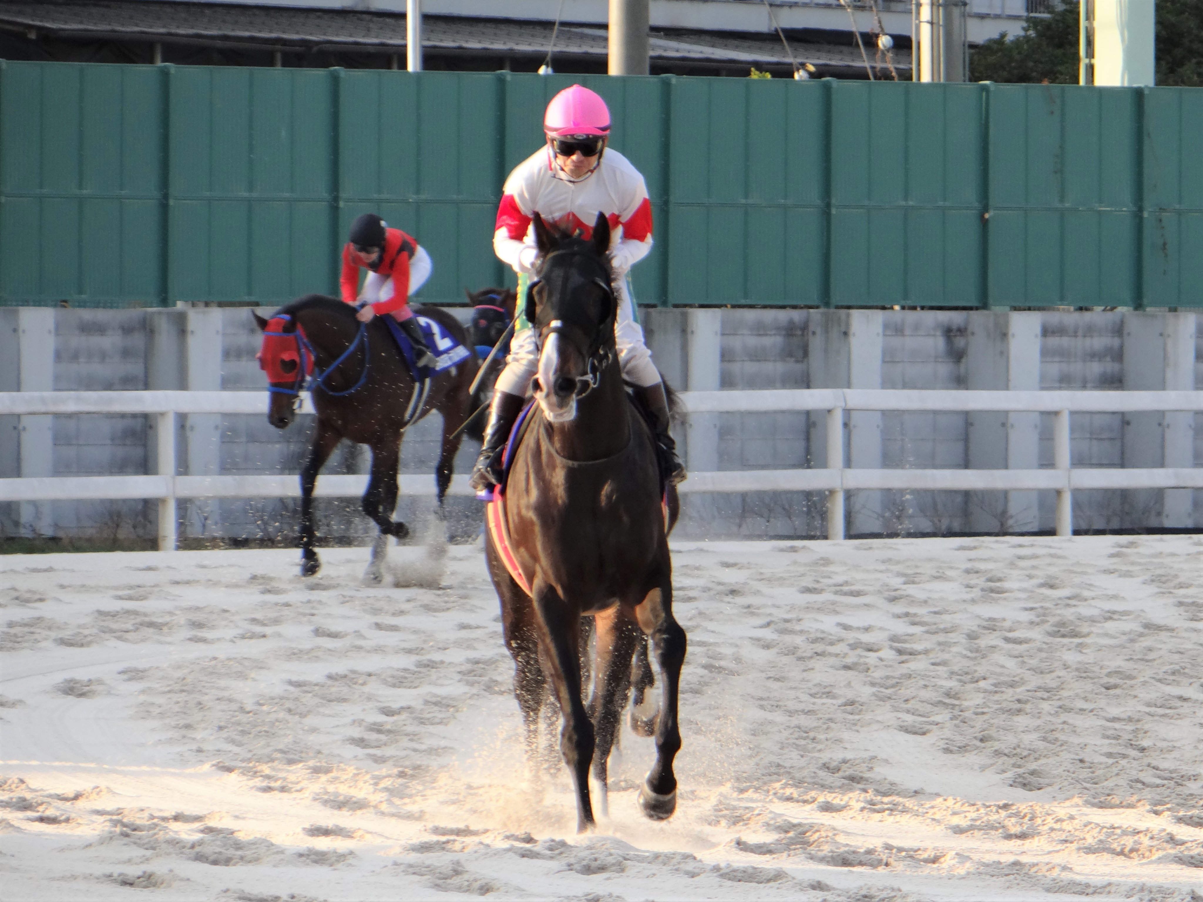 そのだメール☆ひめじメール on Twitter: "11R「JRA交流 大和川特別」はJRA所属のマリオロード号（牡3・安達昭夫 きゅう舎・吉村智洋騎手騎乗）が格の違いを見せ圧勝 🏇💨💨🏇💦 ...