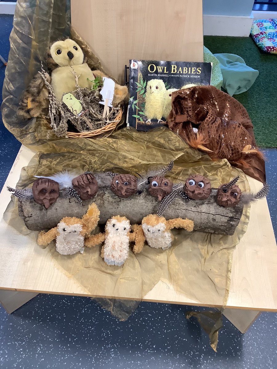 Half Acres Primary Academy on Twitter: "#Nursery We love the story ‘Owl ...