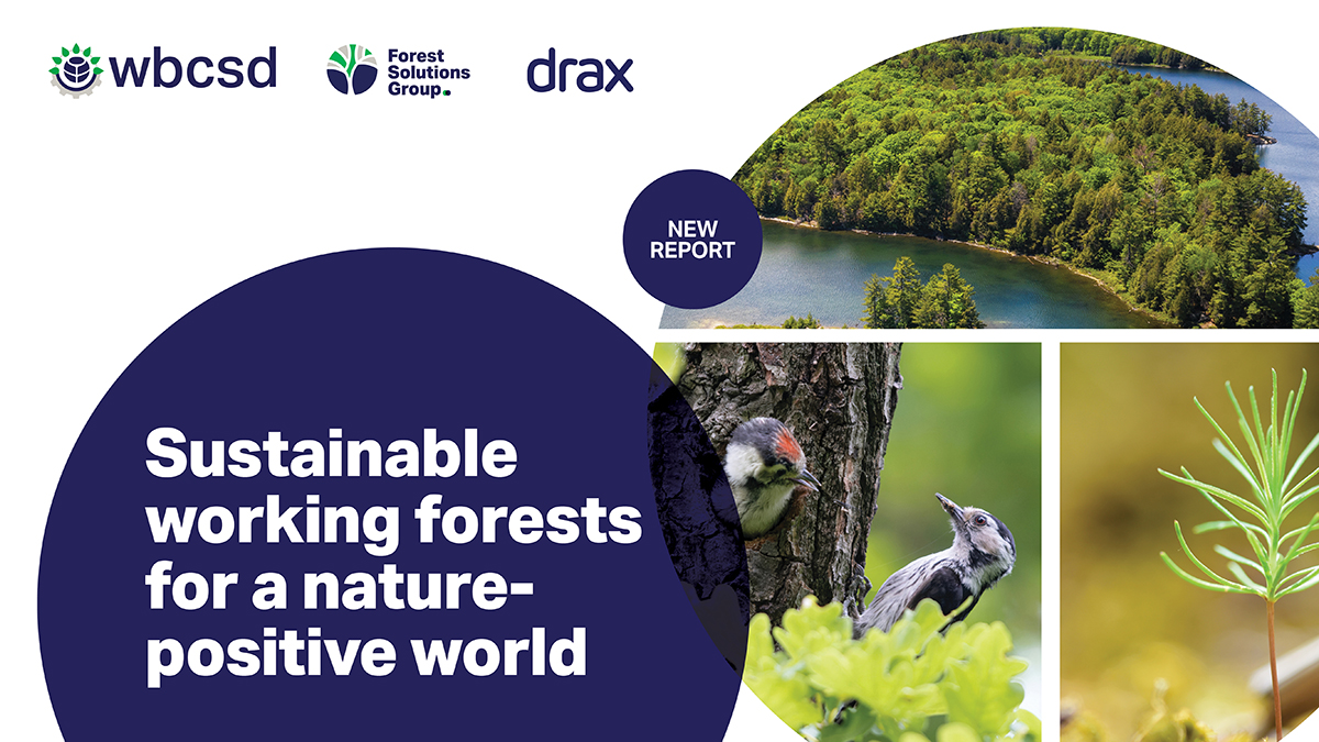Drax on Twitter: "To celebrate #biodiversityday at COP27, we are proud to join leaders from ...