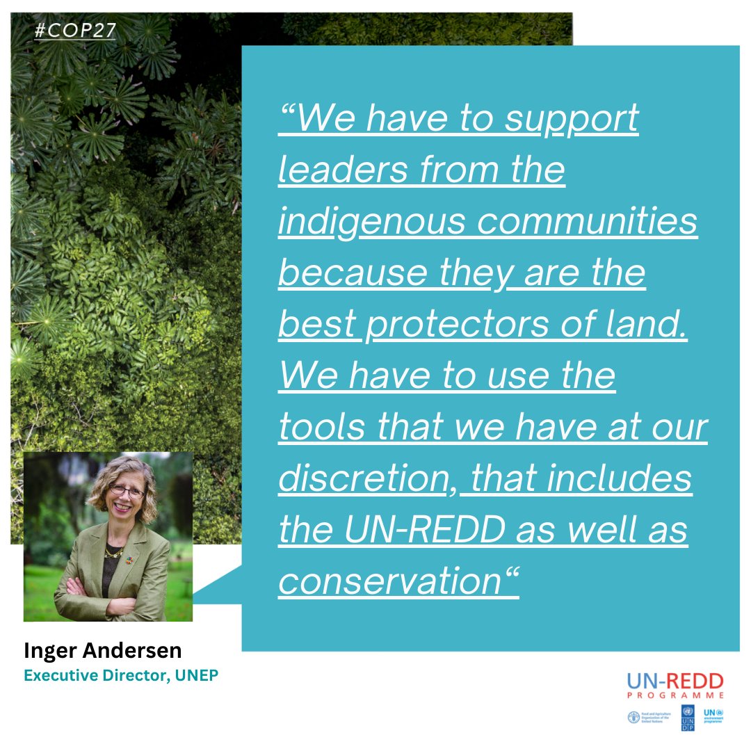 UN-REDD Programme (@unredd) / Twitter