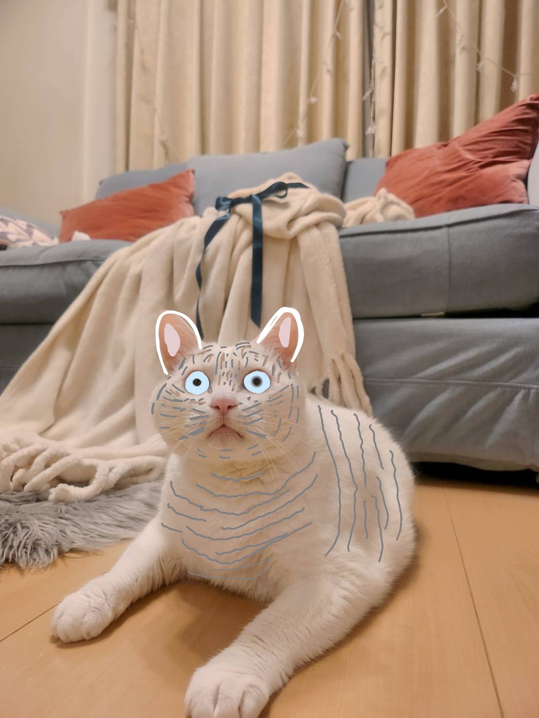 nekochan (@nekochan_app) / Twitter