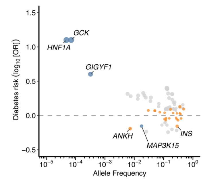 Musa, Mahmoud – Wellcome Sanger Institute