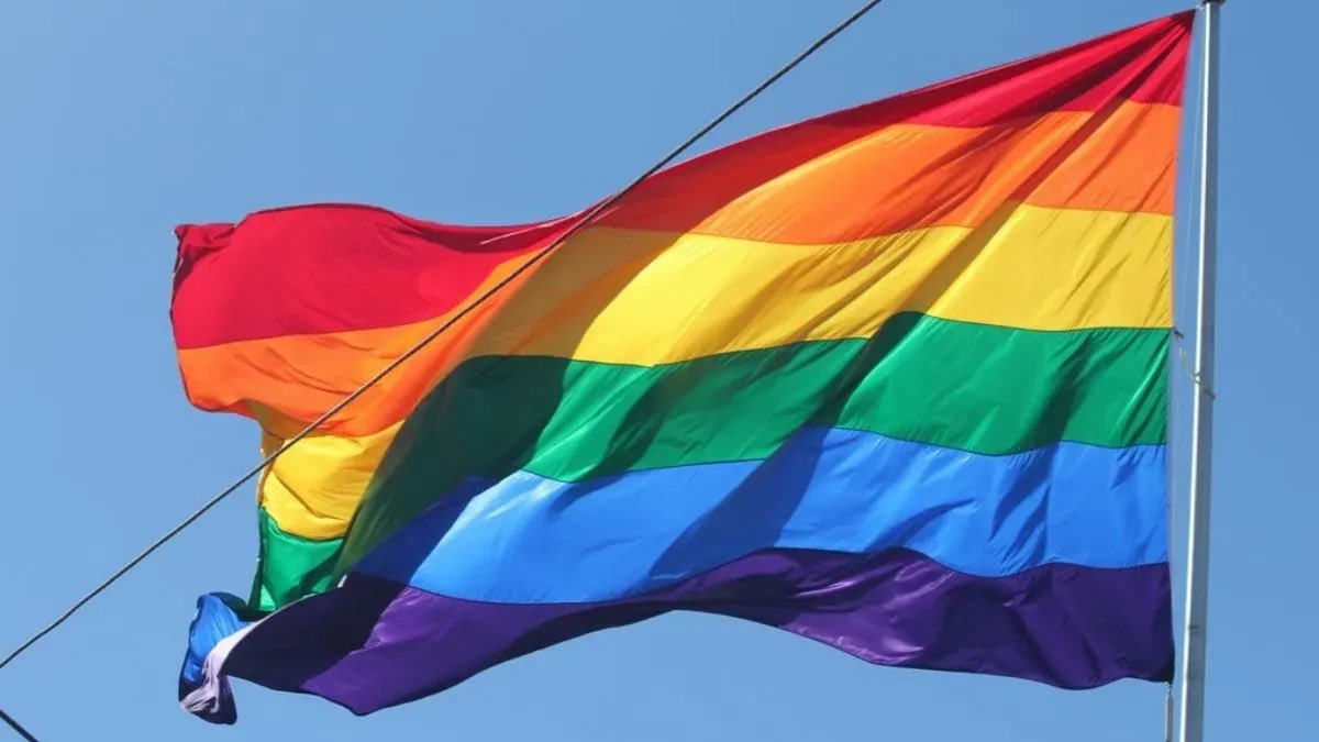 Pop Base On Twitter Senate Advances Bill To Protect Same Sex Marriage