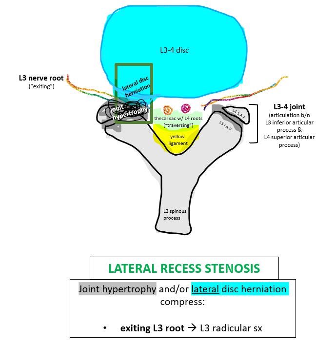 Thread by @k_scheitler on Thread Reader App – Thread Reader App