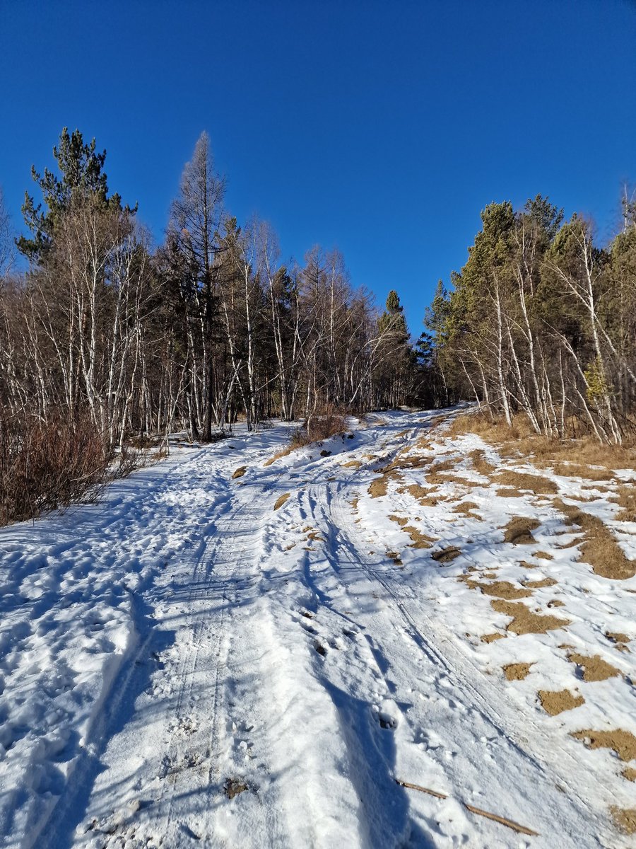 Delgerbayar On Twitter Өглөөний мэндээ