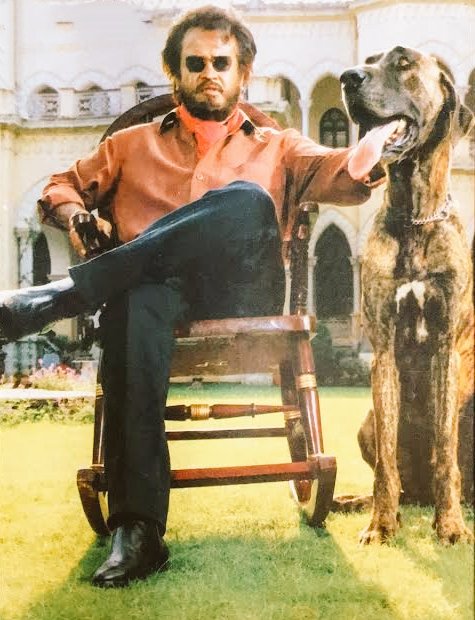 Basha Rajini With Dog The Best South Indian Films Ranked, According To