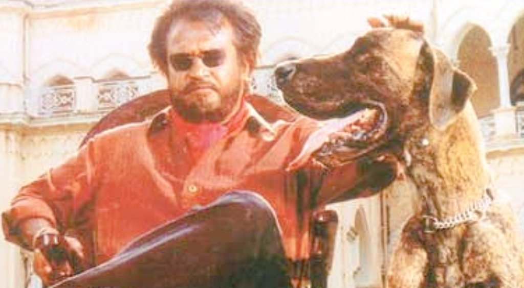 Basha Rajini Dog Stills