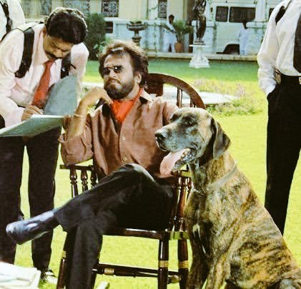 Basha Rajini Dog Stills