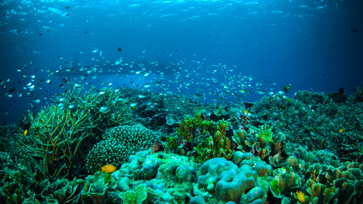 Check out our today’s paper edition on - Thread from The Jakarta Post ...