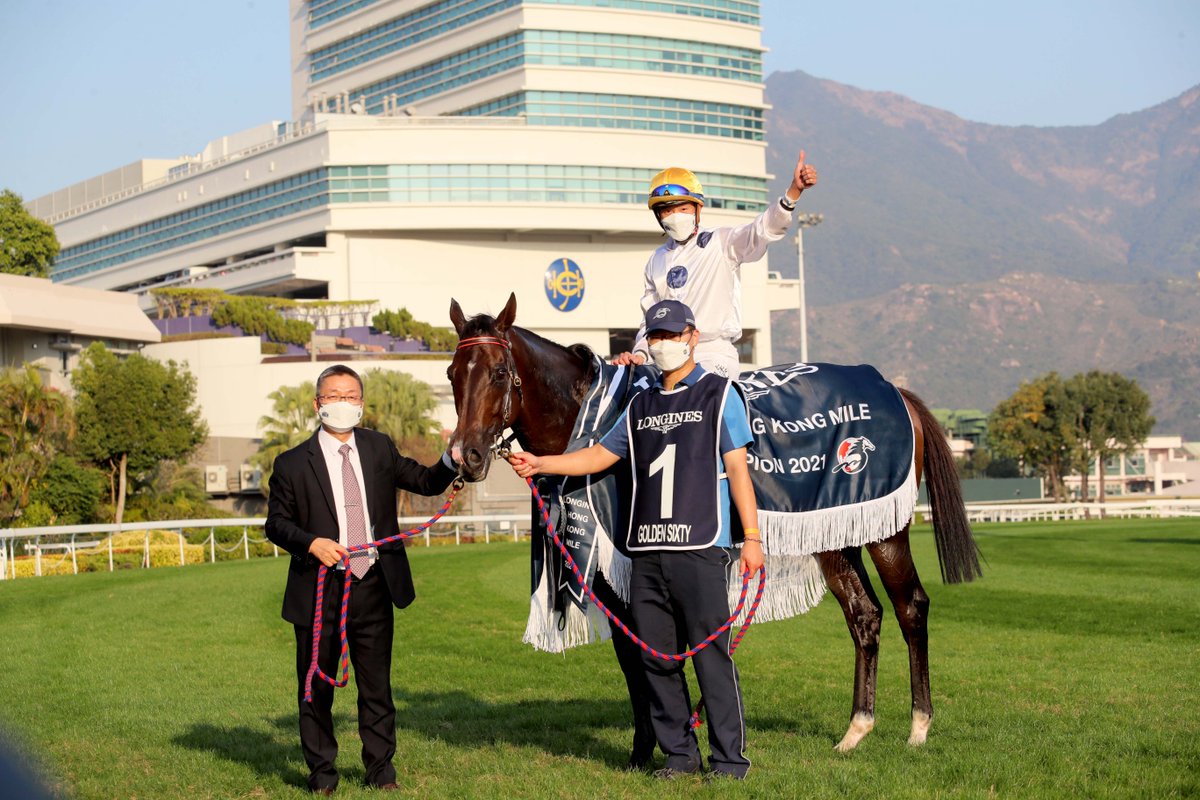 The wait is almost over as Golden Sixty returns to action this Sunday ...