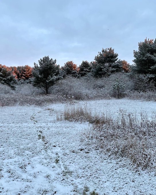 TW Pornstars - Juno Calliope. The most liked pictures and videos from ...