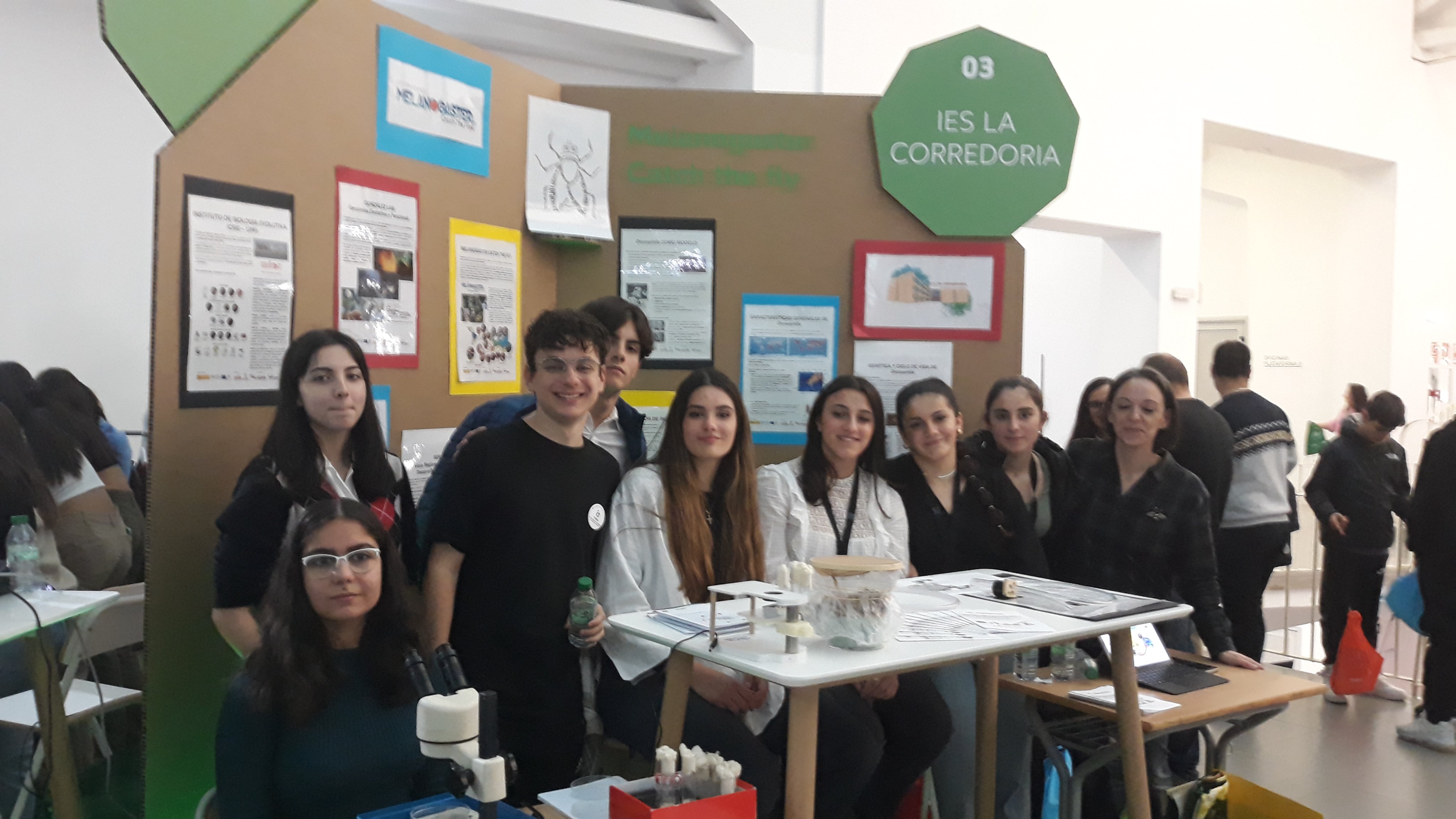 asturias4steam (@asturias4steam) / Twitter