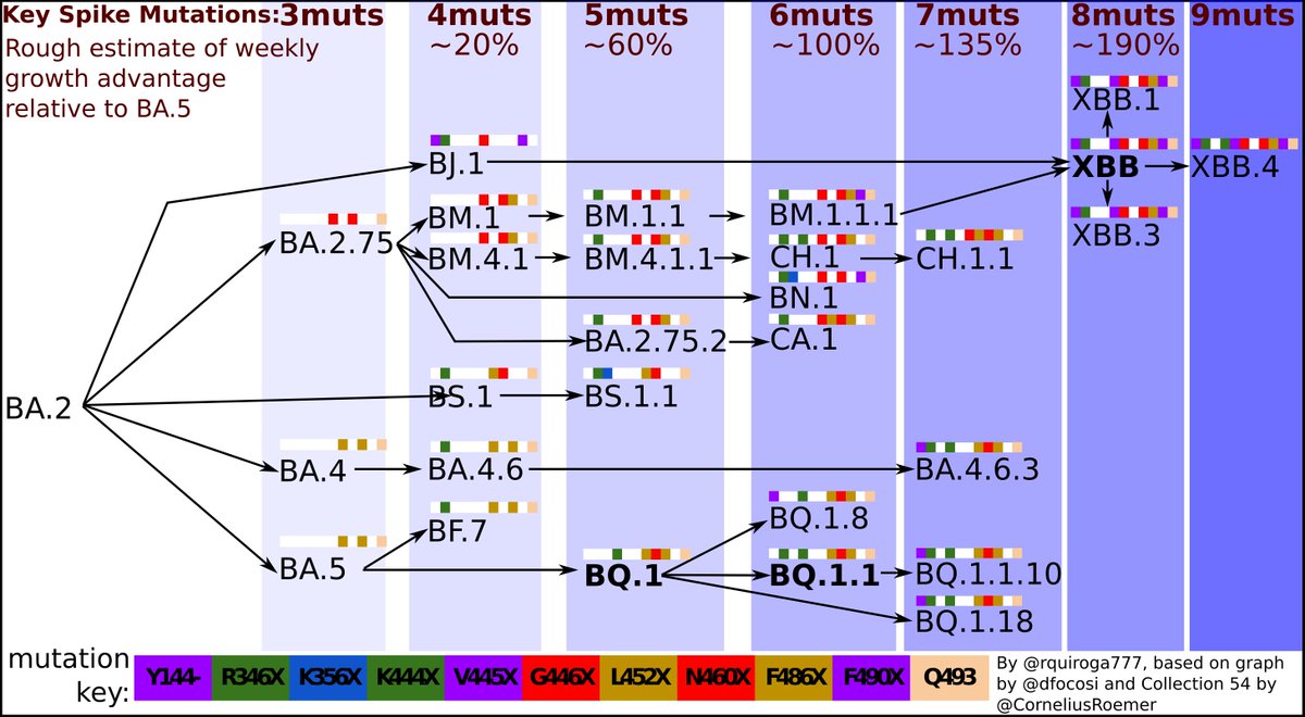COVID-19: Variant status in Ontario In Ontario it looks like BA.5 ...
