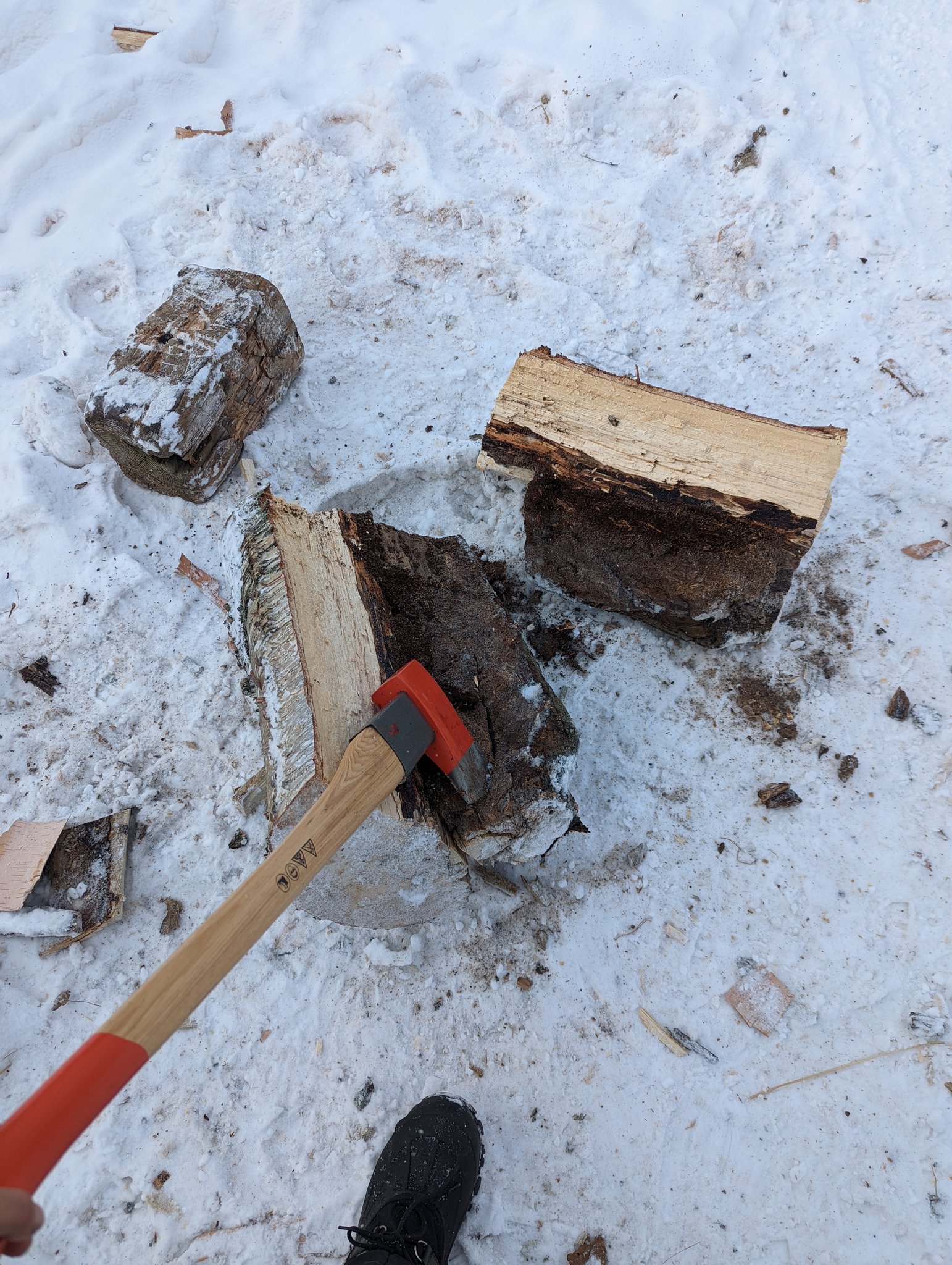 TW Pornstars - Charlie Cruise. Twitter. This was a big fuckin log and I ...