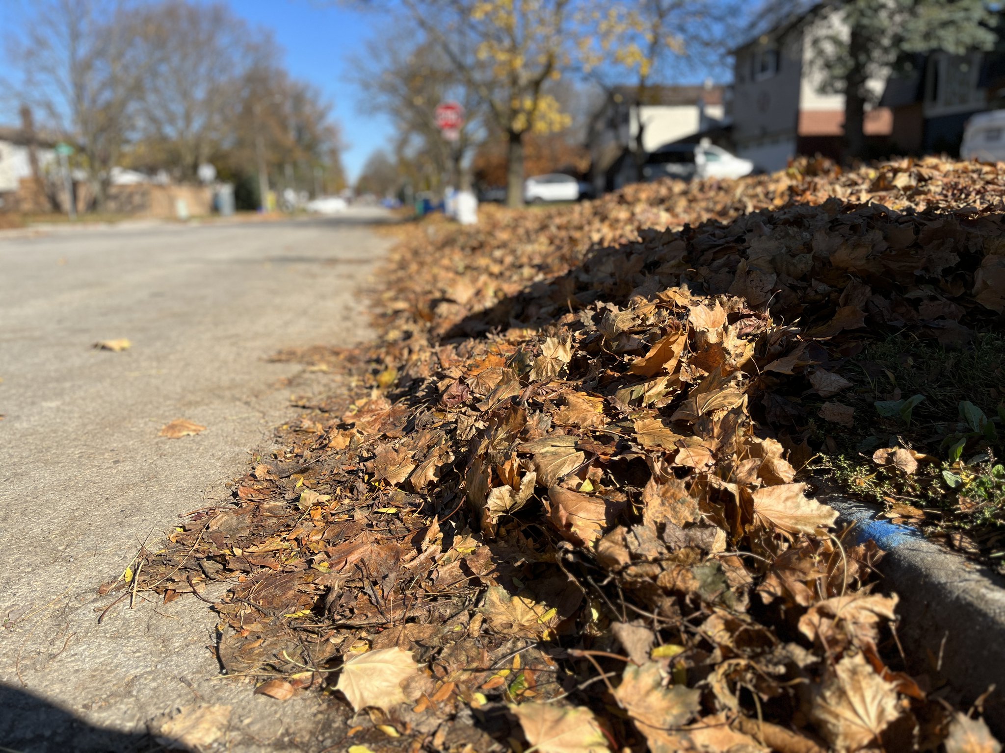 Town of Orangeville on Twitter: "🍂Loose Leaf Pickup Update🍂 With the snow's arrival, our loose ...